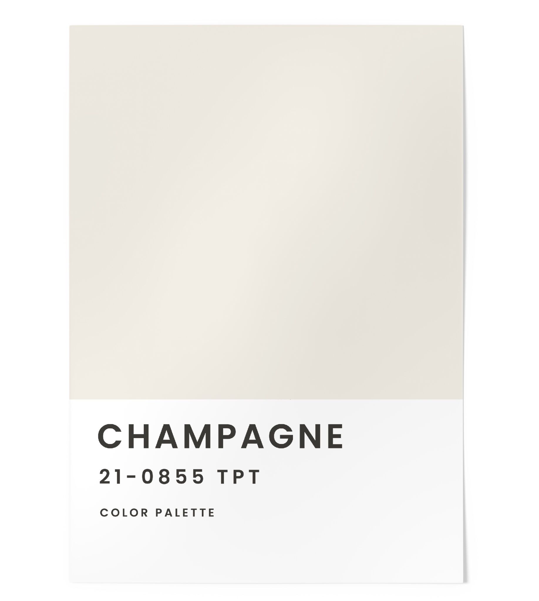 Champagne Color Poster - editonegallery.com